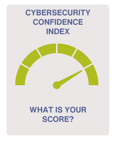 Cyber Risk Management